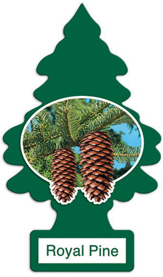 Buy Little Tree Air Fresh Royal Pine Online - DIY Hardware